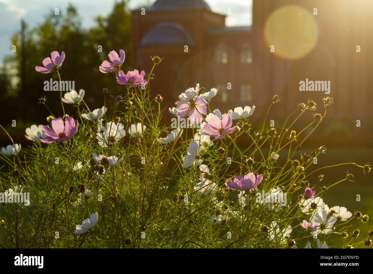 Bright sun highlights hi-res stock photography and images - Alamy