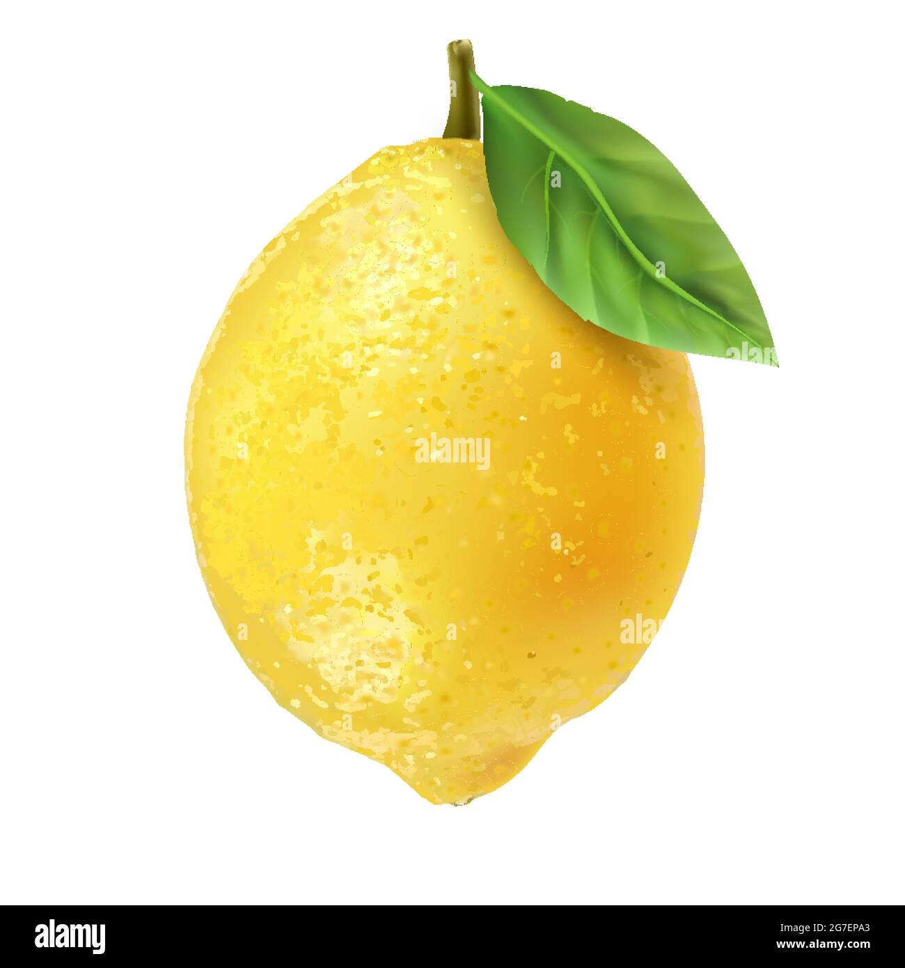 Closeup lemon juice flow Stock Vector Images - Alamy