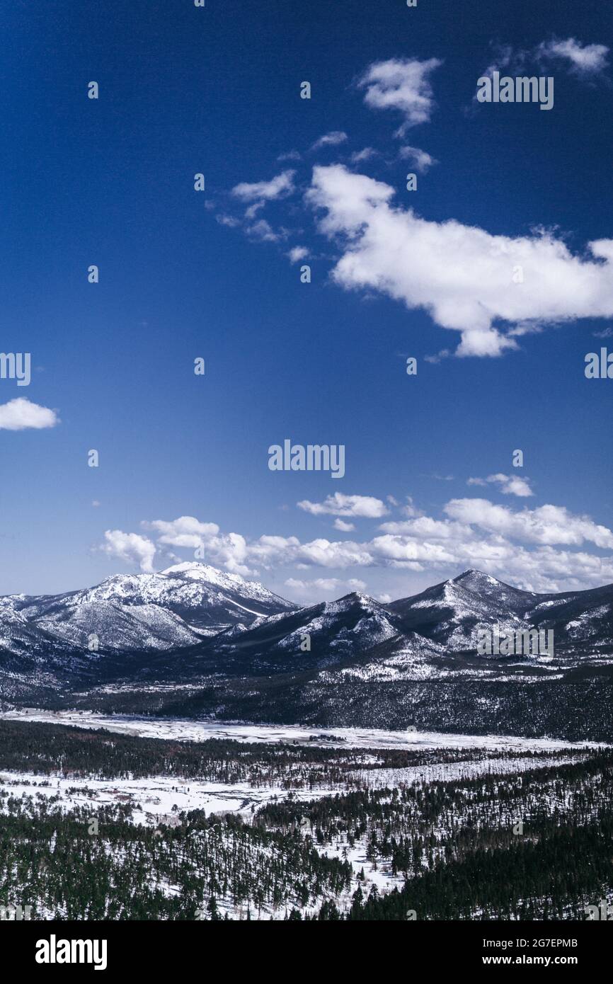 Beautiful shot dense forests hi-res stock photography and images - Alamy