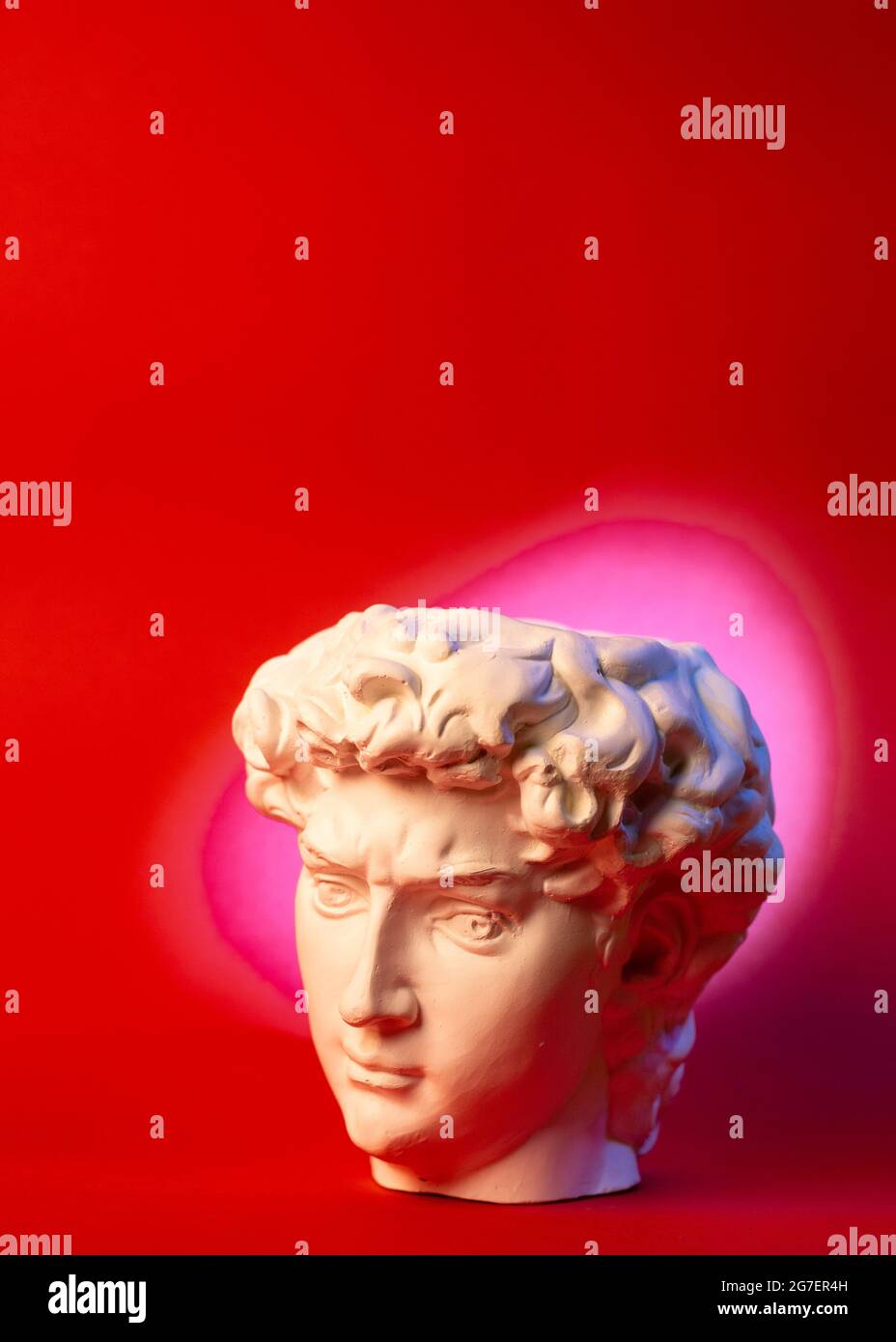 Gypsum statue of David's head. Michelangelo's David statue plaster copy ...