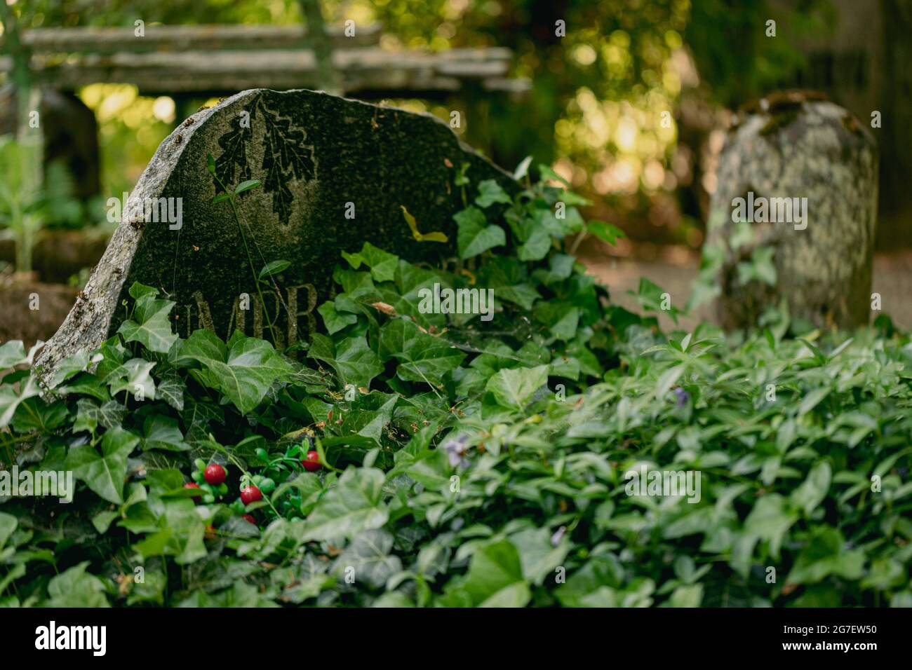 Old tombstone in cemetery on sunny day. Gravestone, object of religion ...