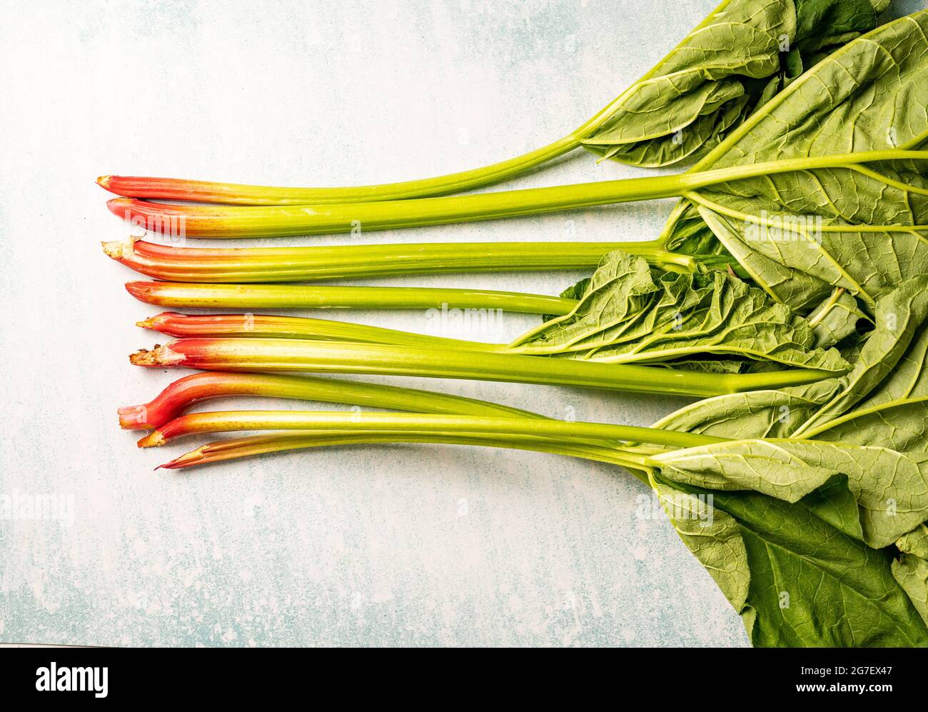 Closeup shot of a rhubarb stalks. Edible plants Stock Photo - Alamy