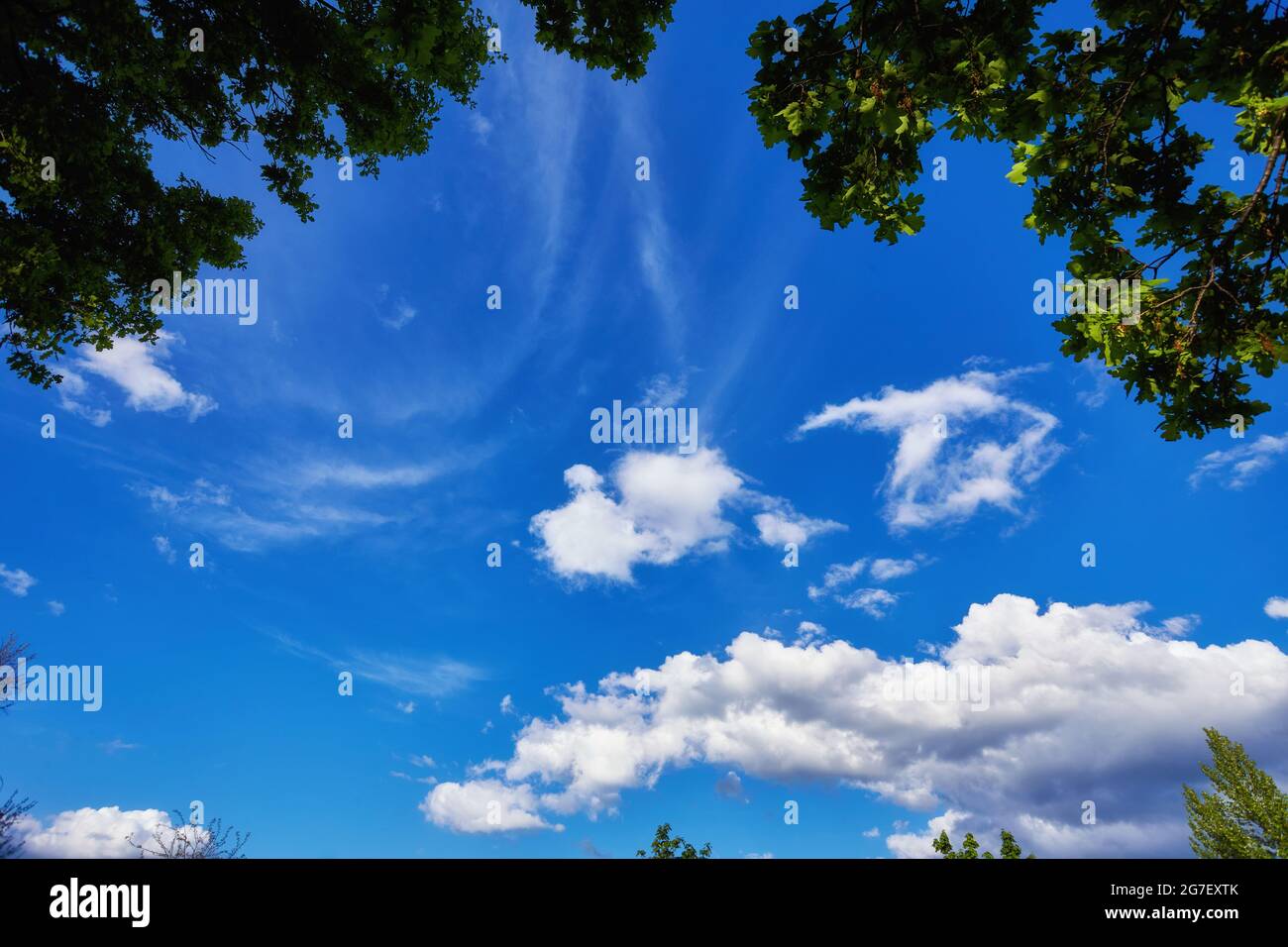 Sky daylight. Natural sky composition. Element of design Stock Photo ...
