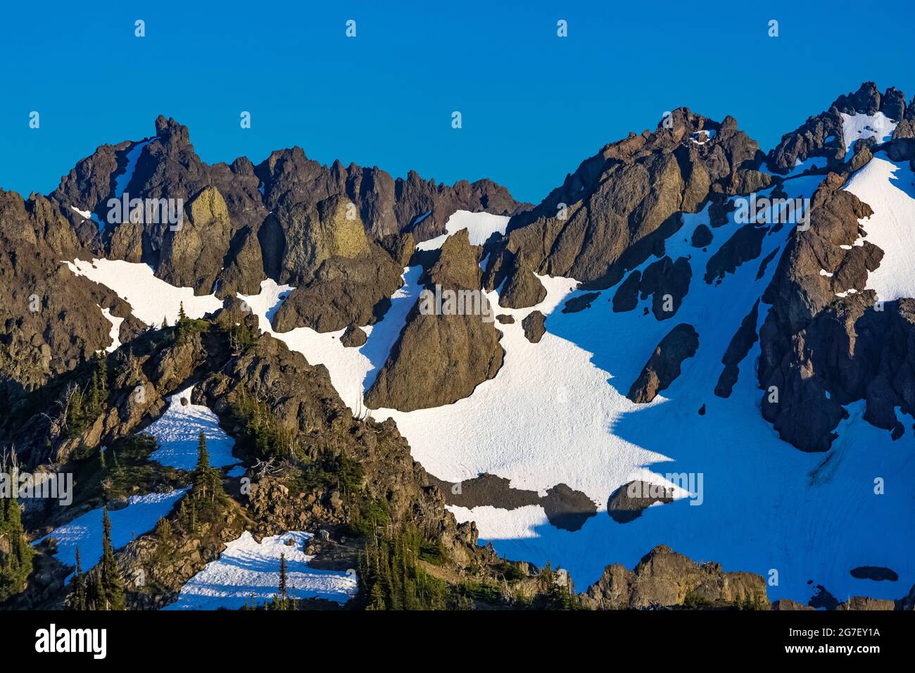 Big quilcene trail hi-res stock photography and images - Alamy