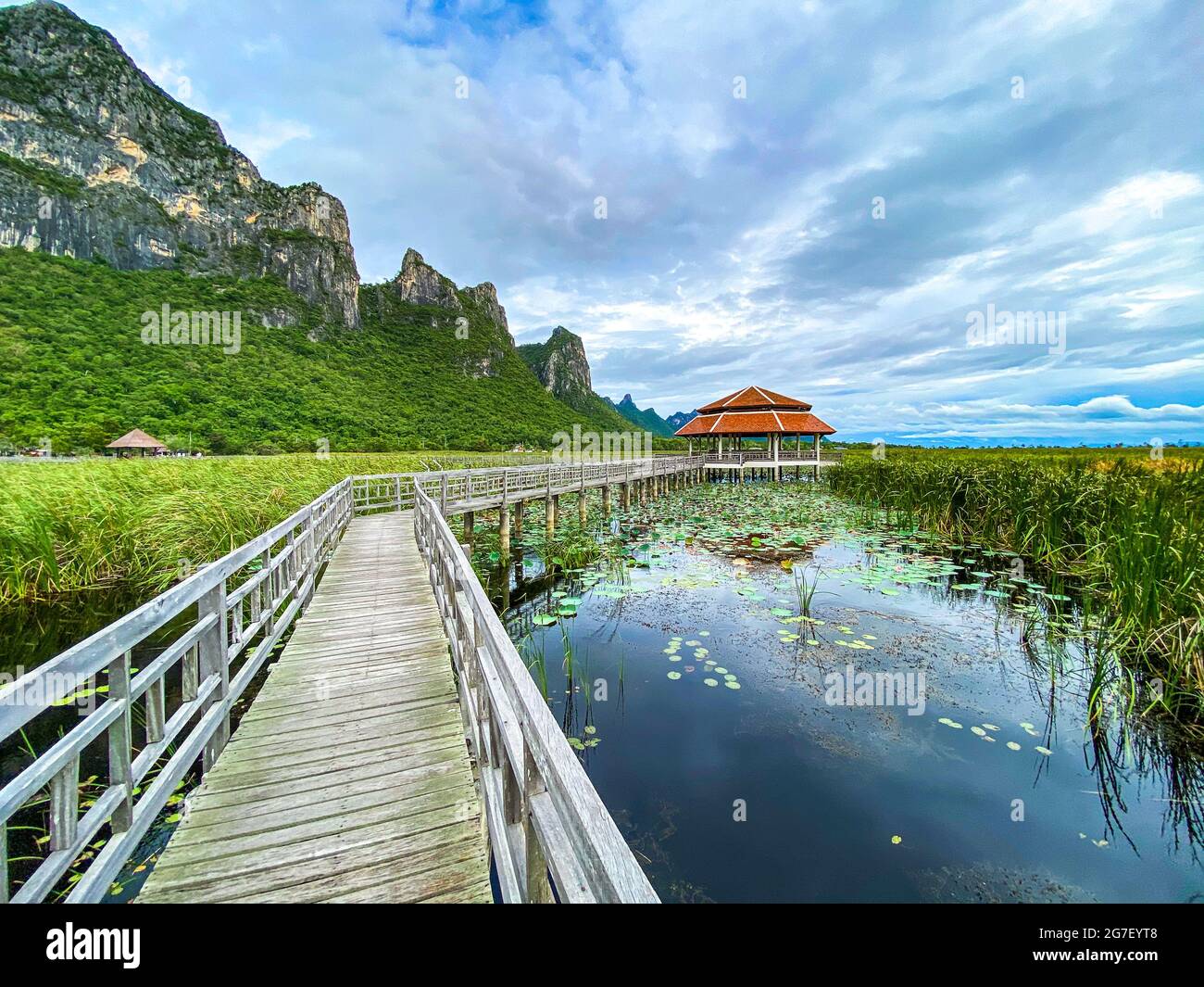 Sam Roi Yot Freshwater Marsh, Walk over the marsh, Bueng Bua Wood ...