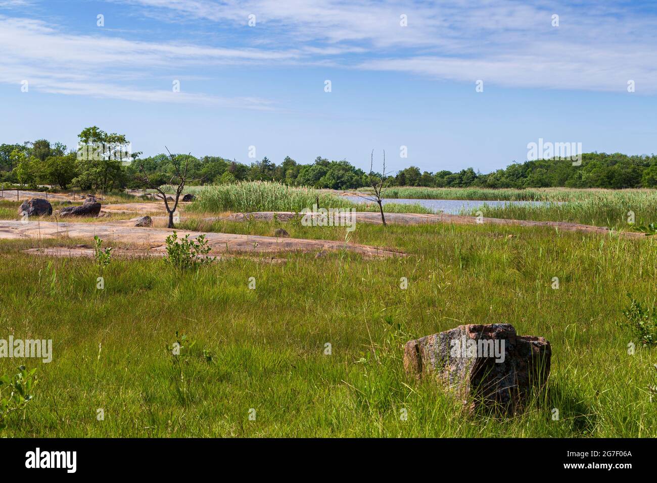 Summer summertime meadow nature hi-res stock photography and images - Alamy
