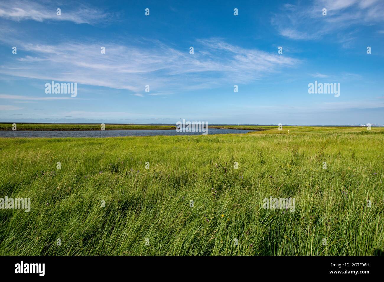 Grassy bank under hi-res stock photography and images - Alamy