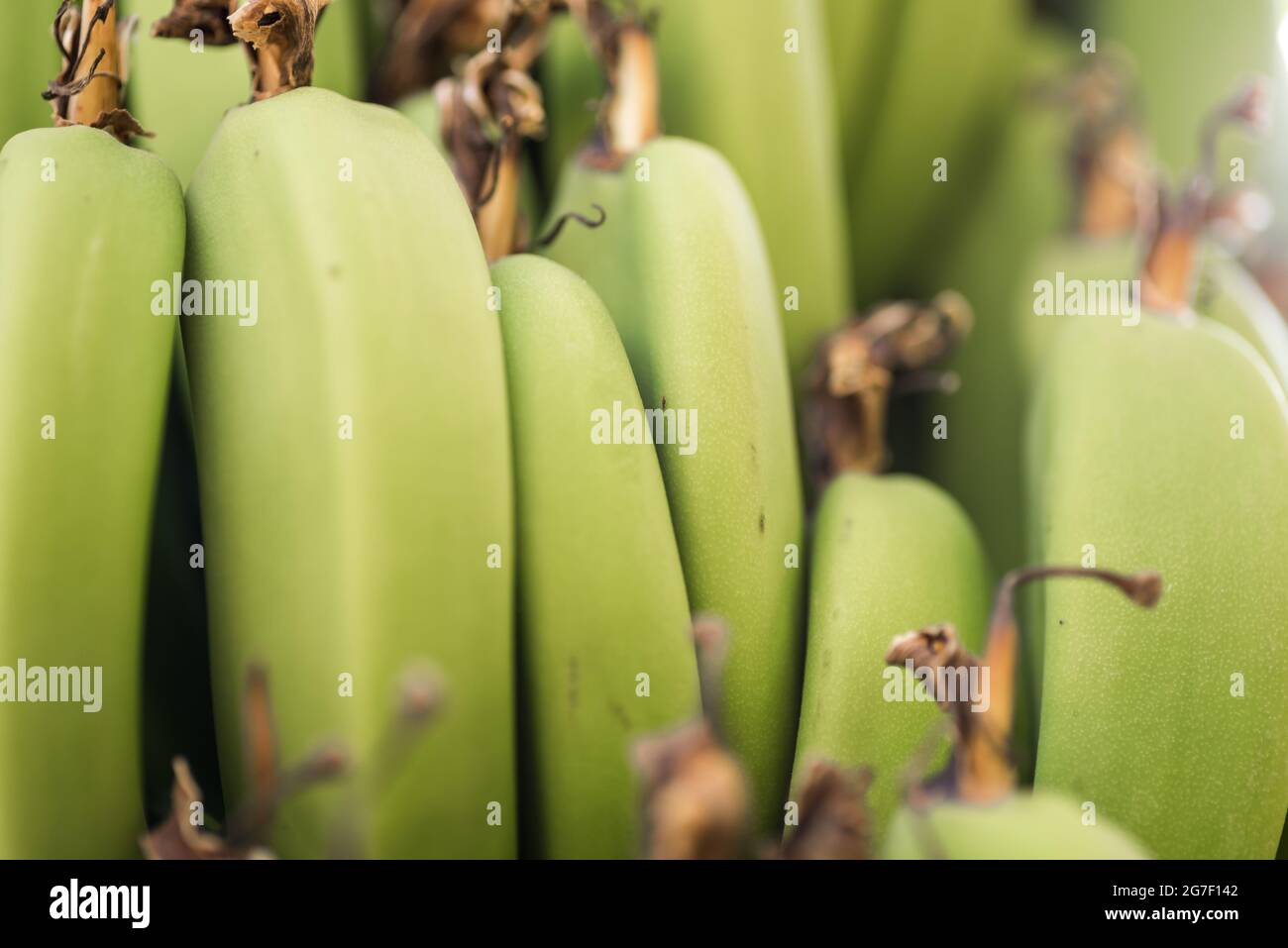 pattern fresh natural bananas food background close up Stock Photo - Alamy