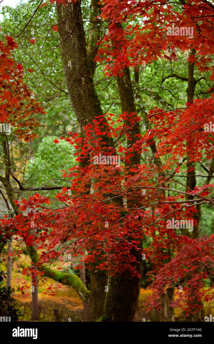 The park is bright hi-res stock photography and images - Alamy