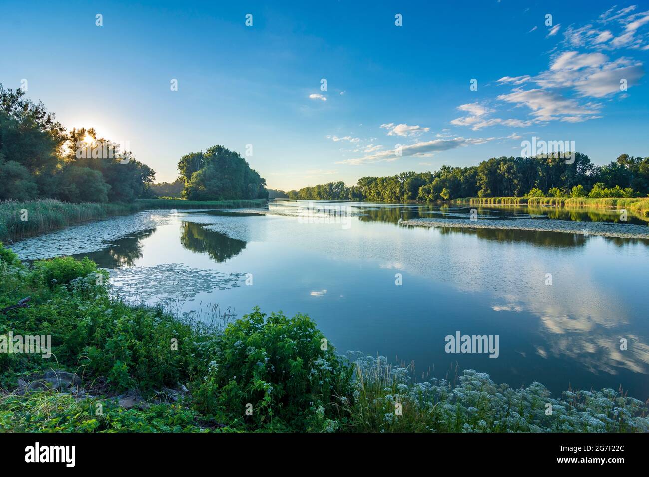 Wien, Vienna: sunset at oxbow lake Kühwörter Wasser in floodplain Lobau ...