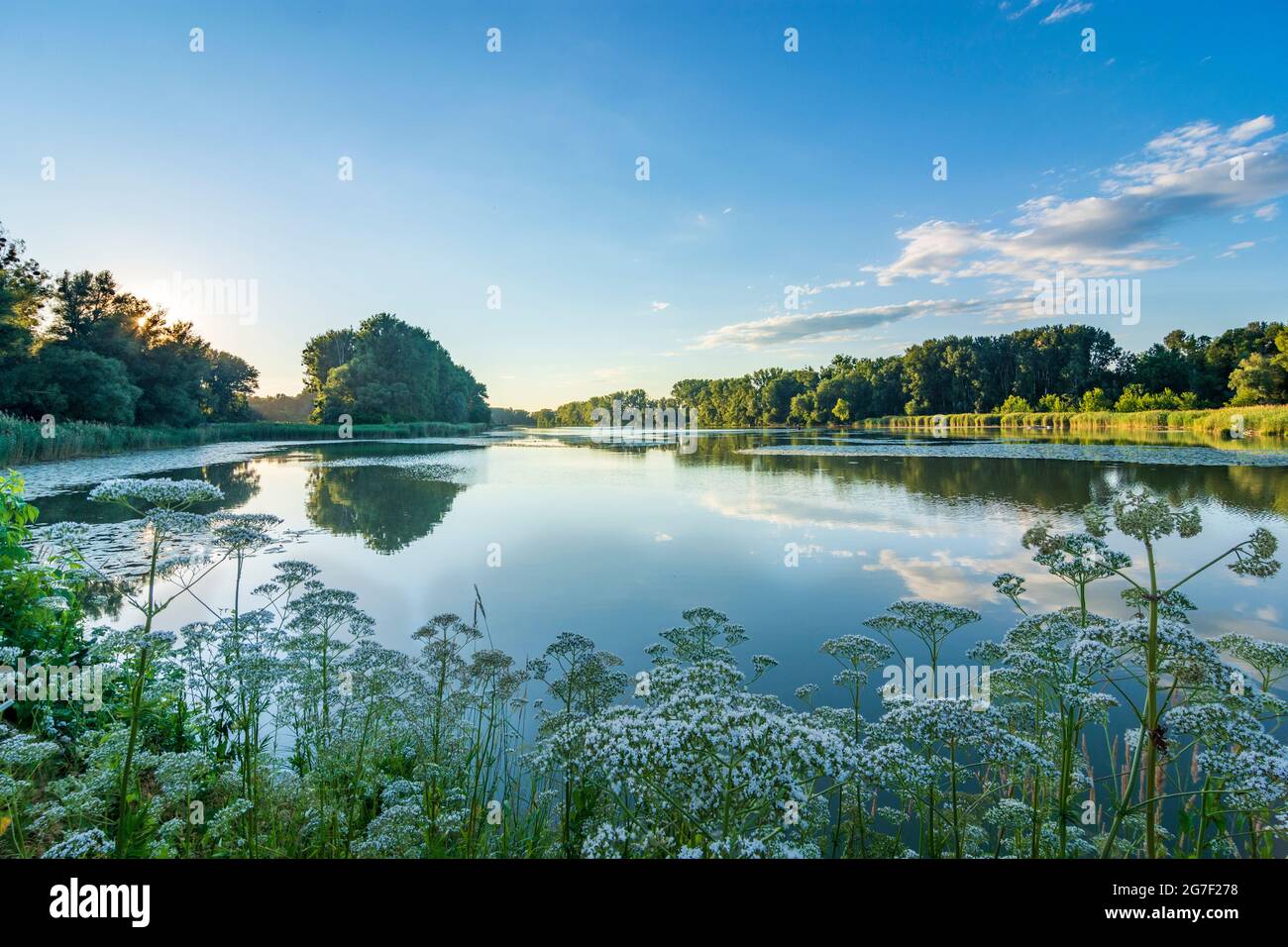 Wien, Vienna: sunset at oxbow lake Kühwörter Wasser in floodplain Lobau ...