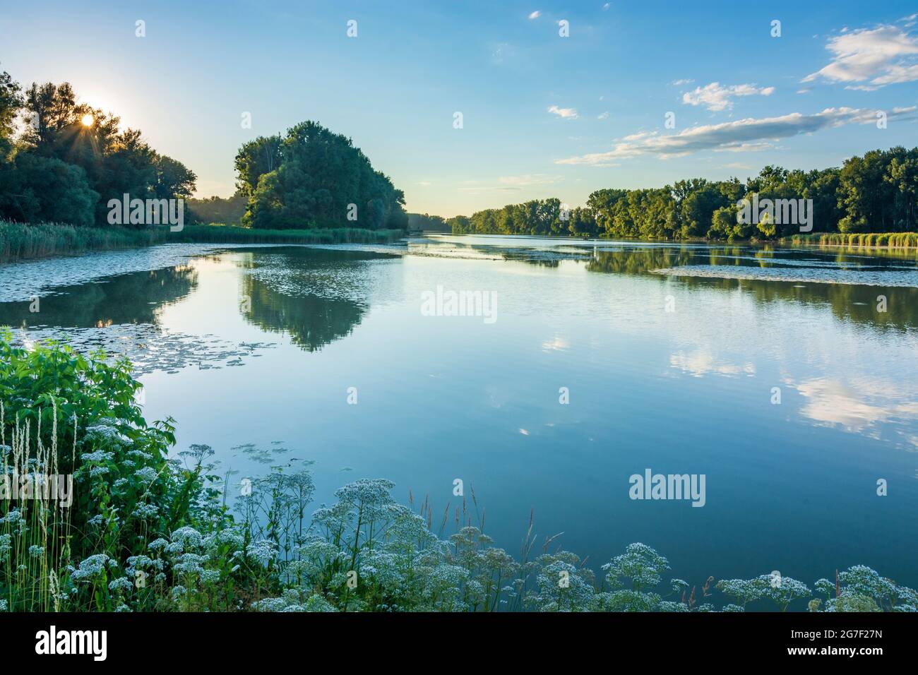 Wien, Vienna: sunset at oxbow lake Kühwörter Wasser in floodplain Lobau ...