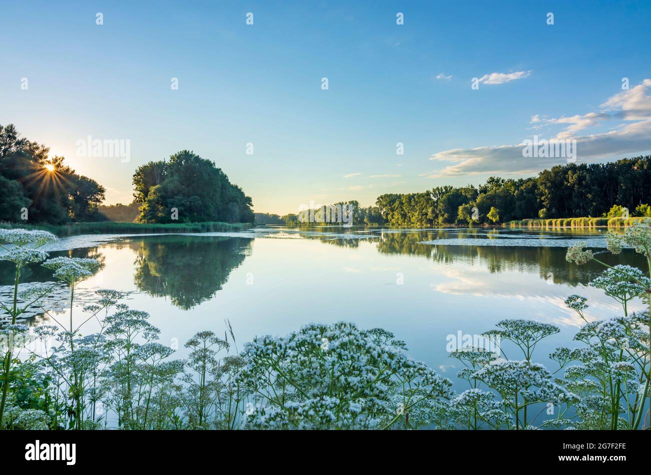 Wien, Vienna: sunset at oxbow lake Kühwörter Wasser in floodplain Lobau ...