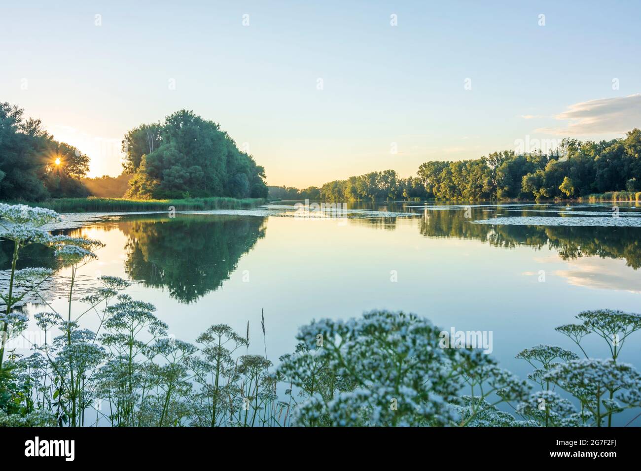 Wien, Vienna: sunset at oxbow lake Kühwörter Wasser in floodplain Lobau ...