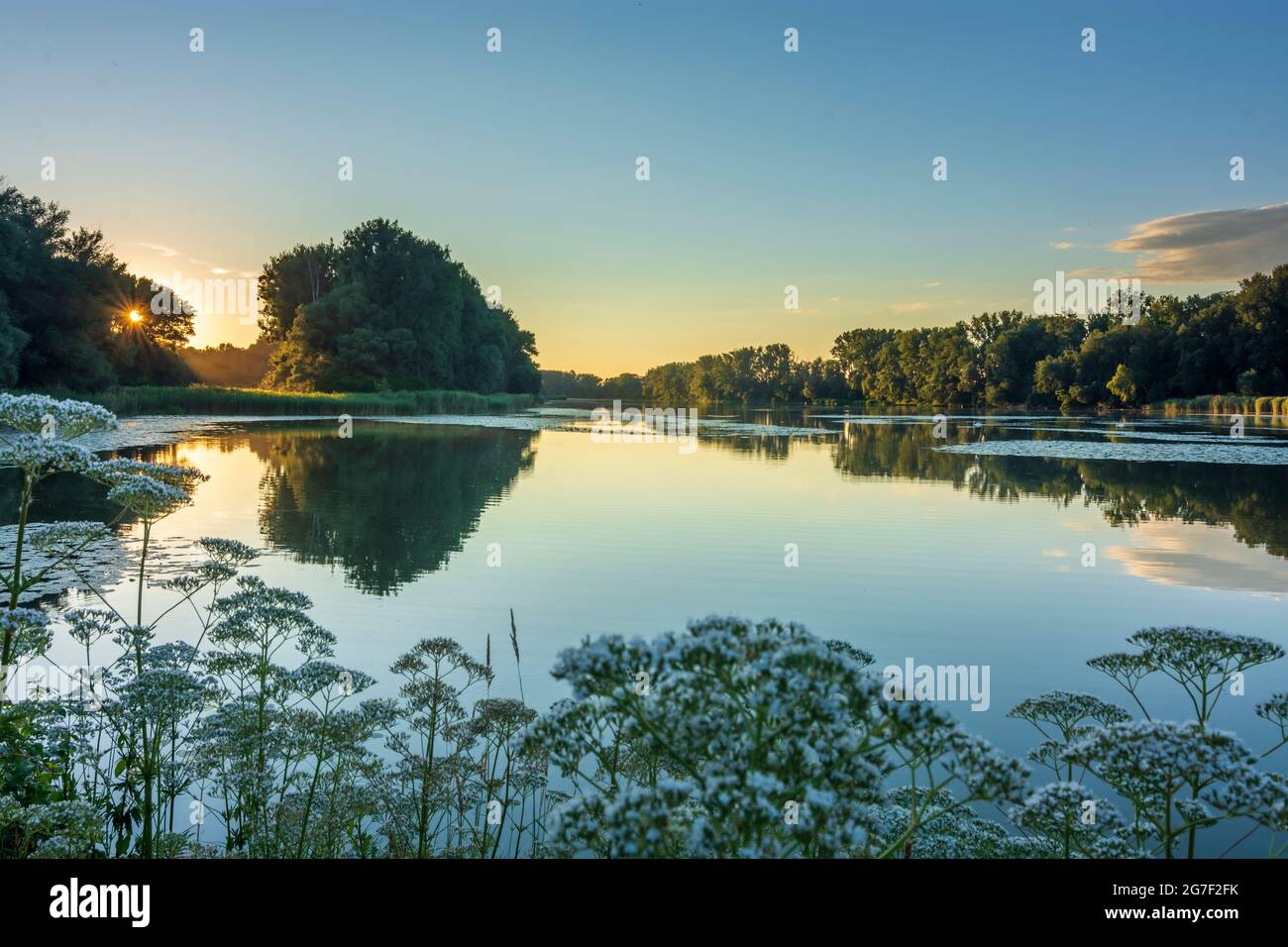 Wien, Vienna: sunset at oxbow lake Kühwörter Wasser in floodplain Lobau ...