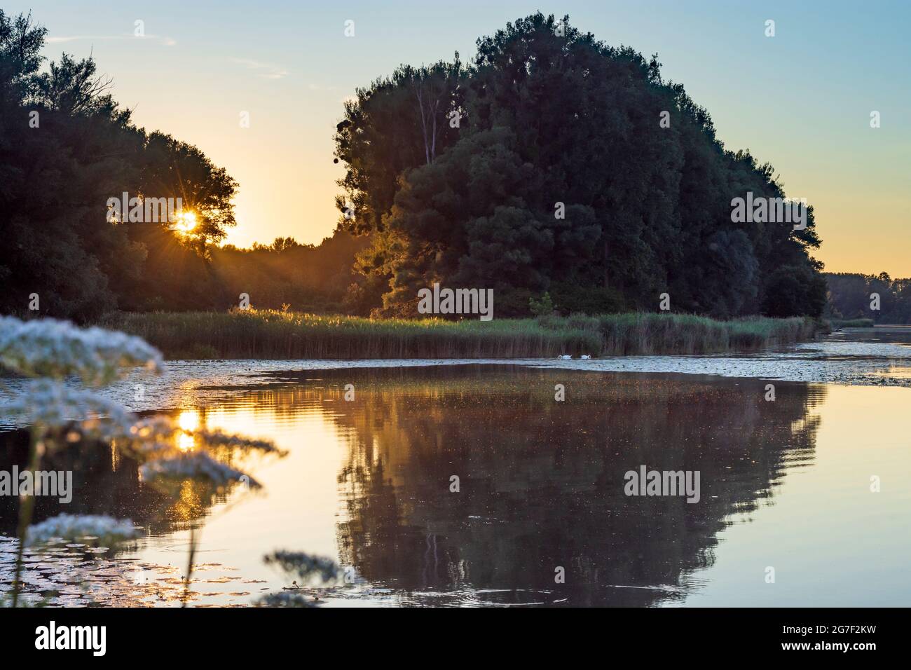 Wien, Vienna: sunset at oxbow lake Kühwörter Wasser in floodplain Lobau ...