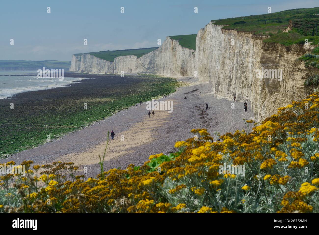 The white cliffs at Burling Gap, Eastbourne. Spectacular scenery of ...