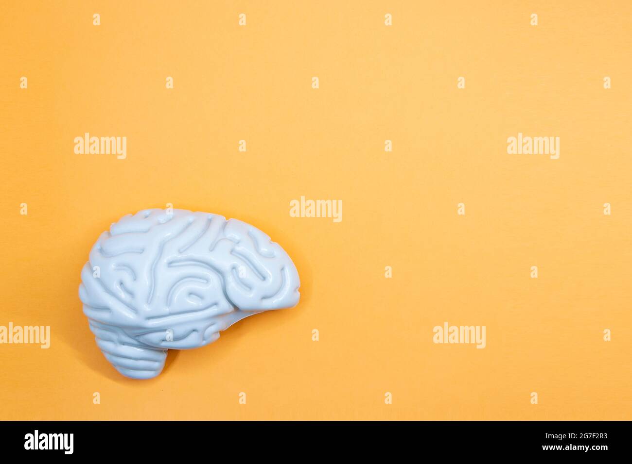 Plastic brain hi-res stock photography and images - Alamy