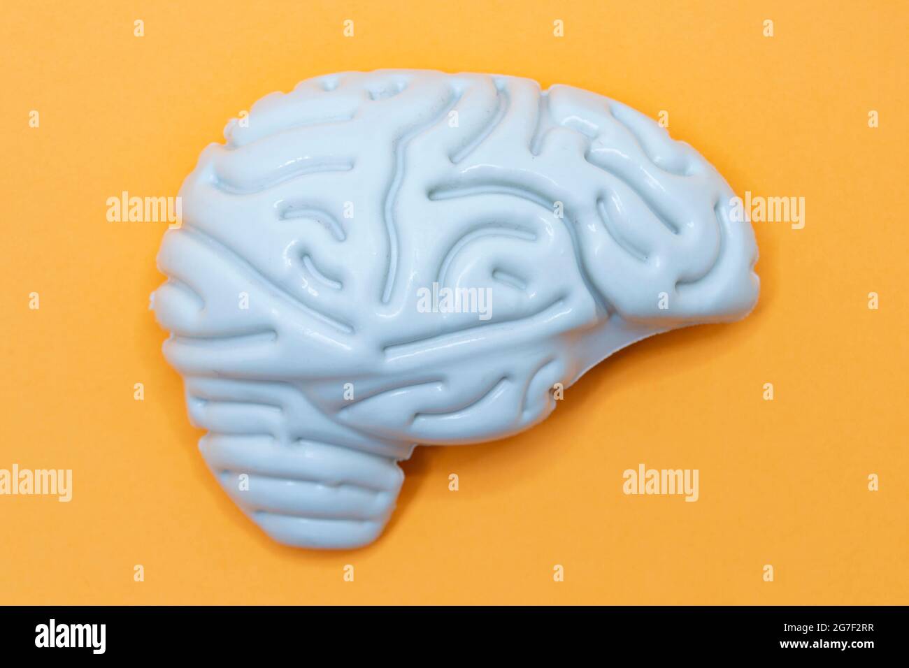 Plastic brain hi-res stock photography and images - Alamy