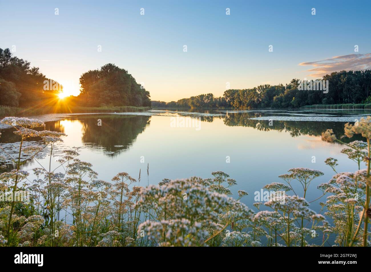 Wien, Vienna: sunset at oxbow lake Kühwörter Wasser in floodplain Lobau ...