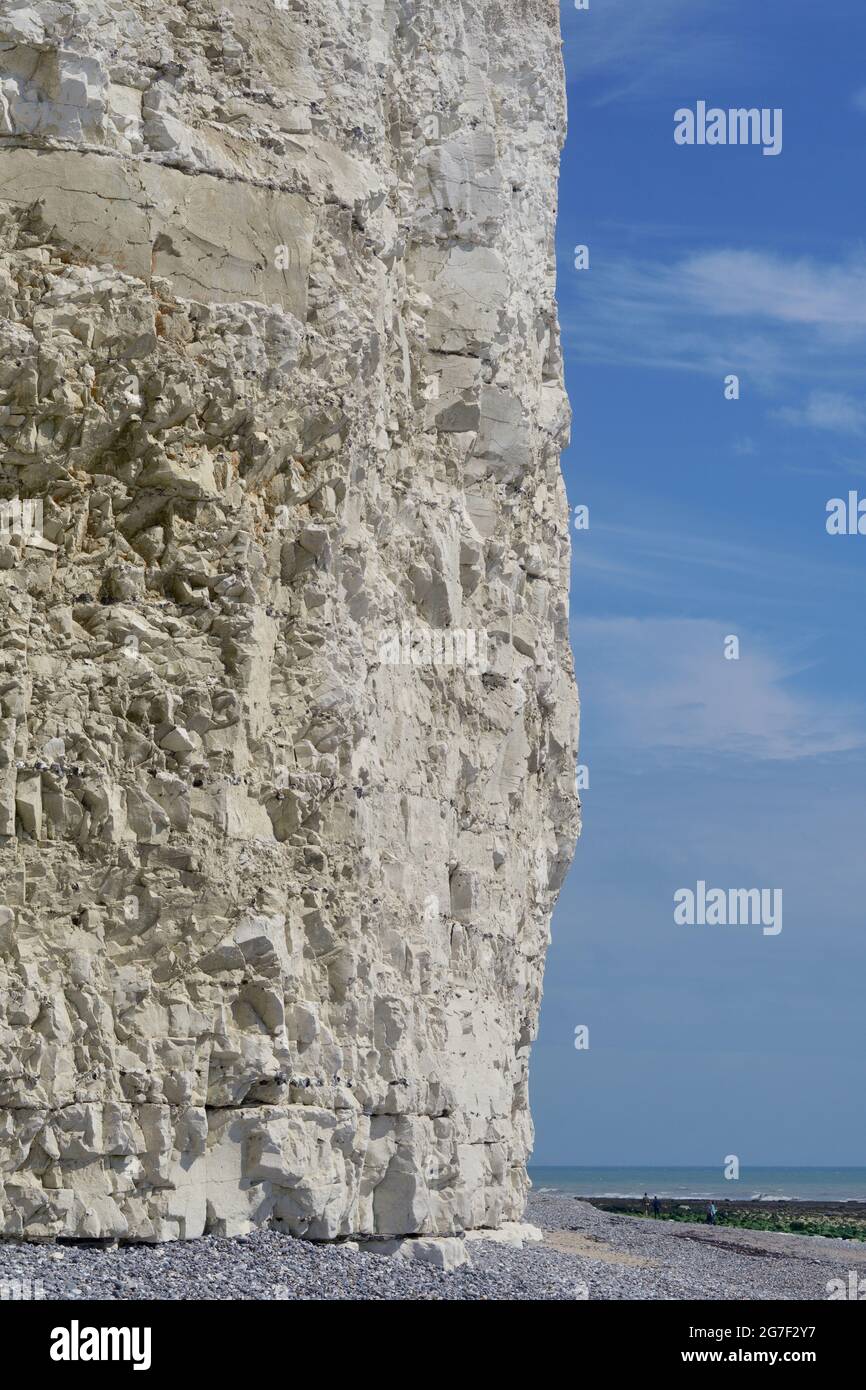 The white cliffs at Burling Gap, Eastbourne. Spectacular scenery of ...