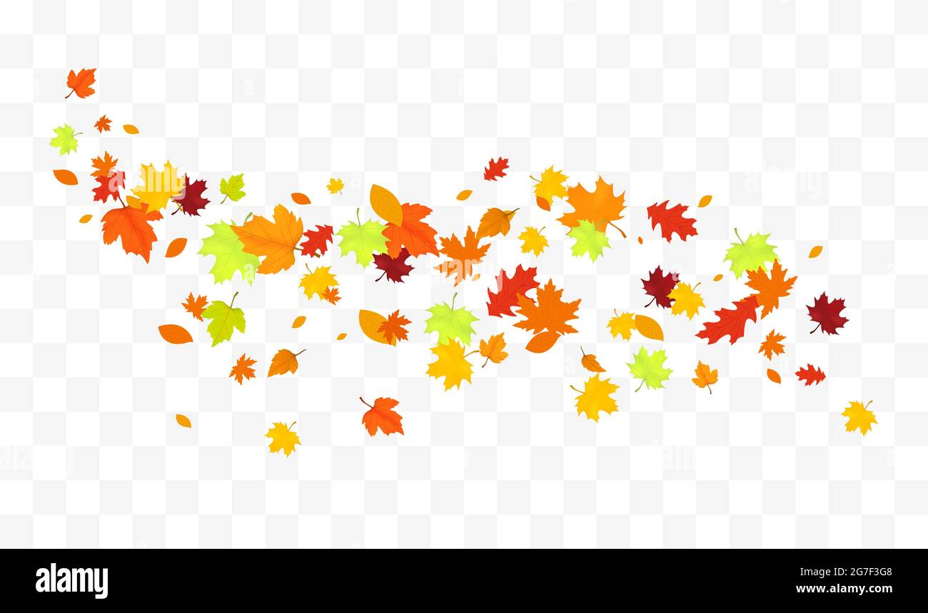 Autumn falling leaves isolated on white background. Autumn background ...