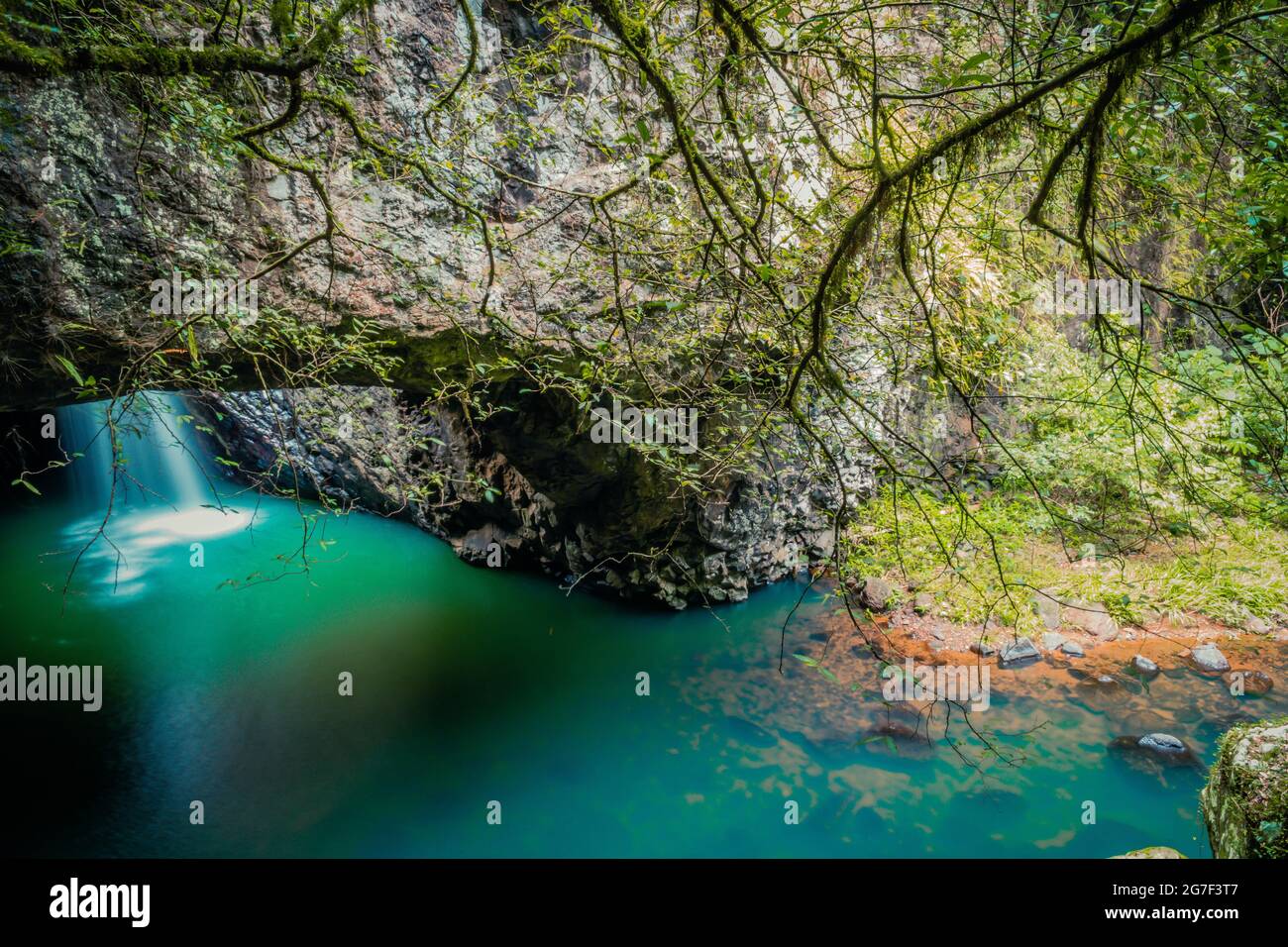 Emerald green waterfall and a pool of water in the forest Stock Photo ...