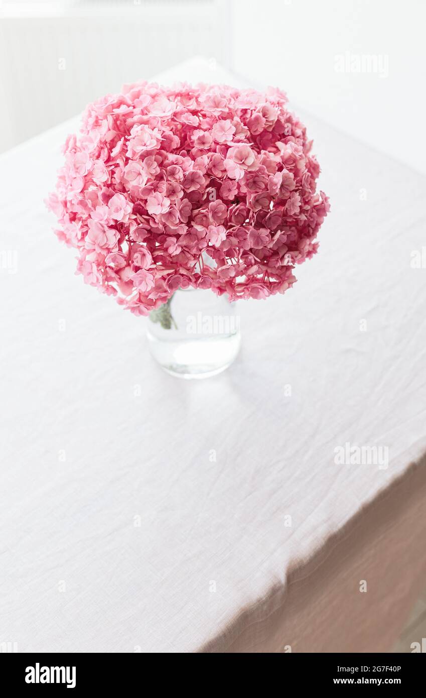 Beautiful pink hydrangea hi-res stock photography and images - Alamy