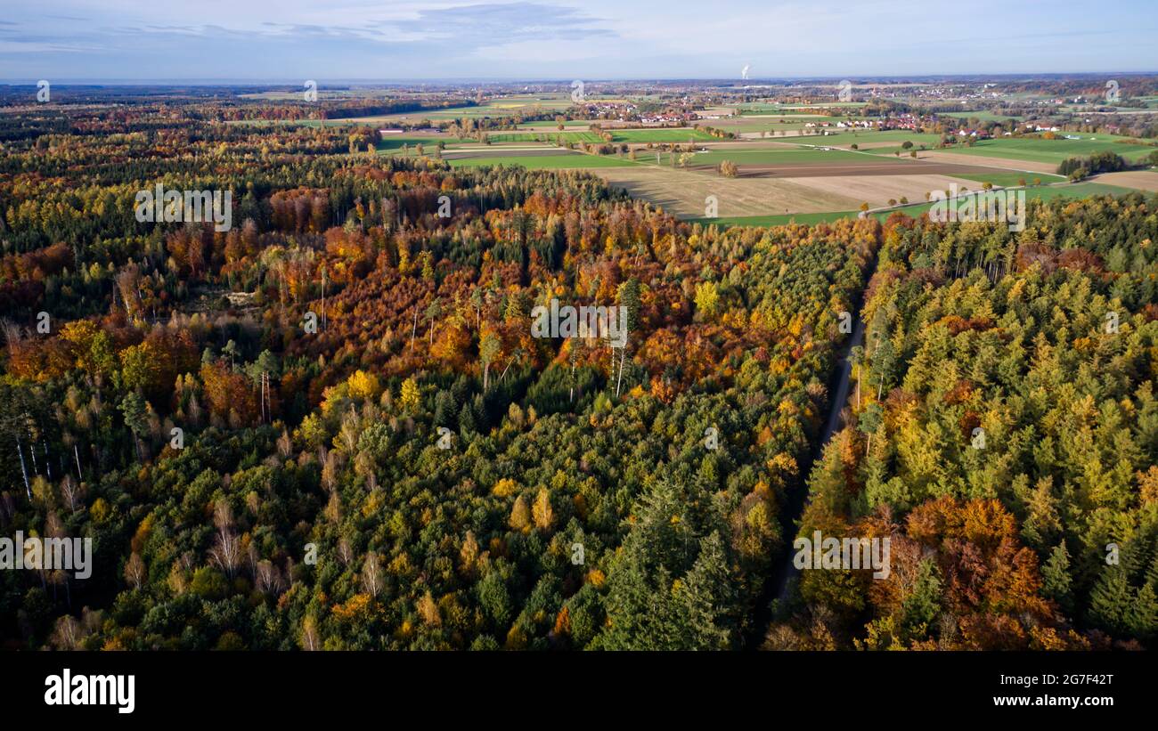 Aerial view of golden fall forest under the blue sky Stock Photo - Alamy