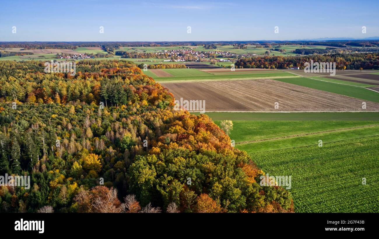 [aerial] road surrounded forest golden hi-res stock photography and ...