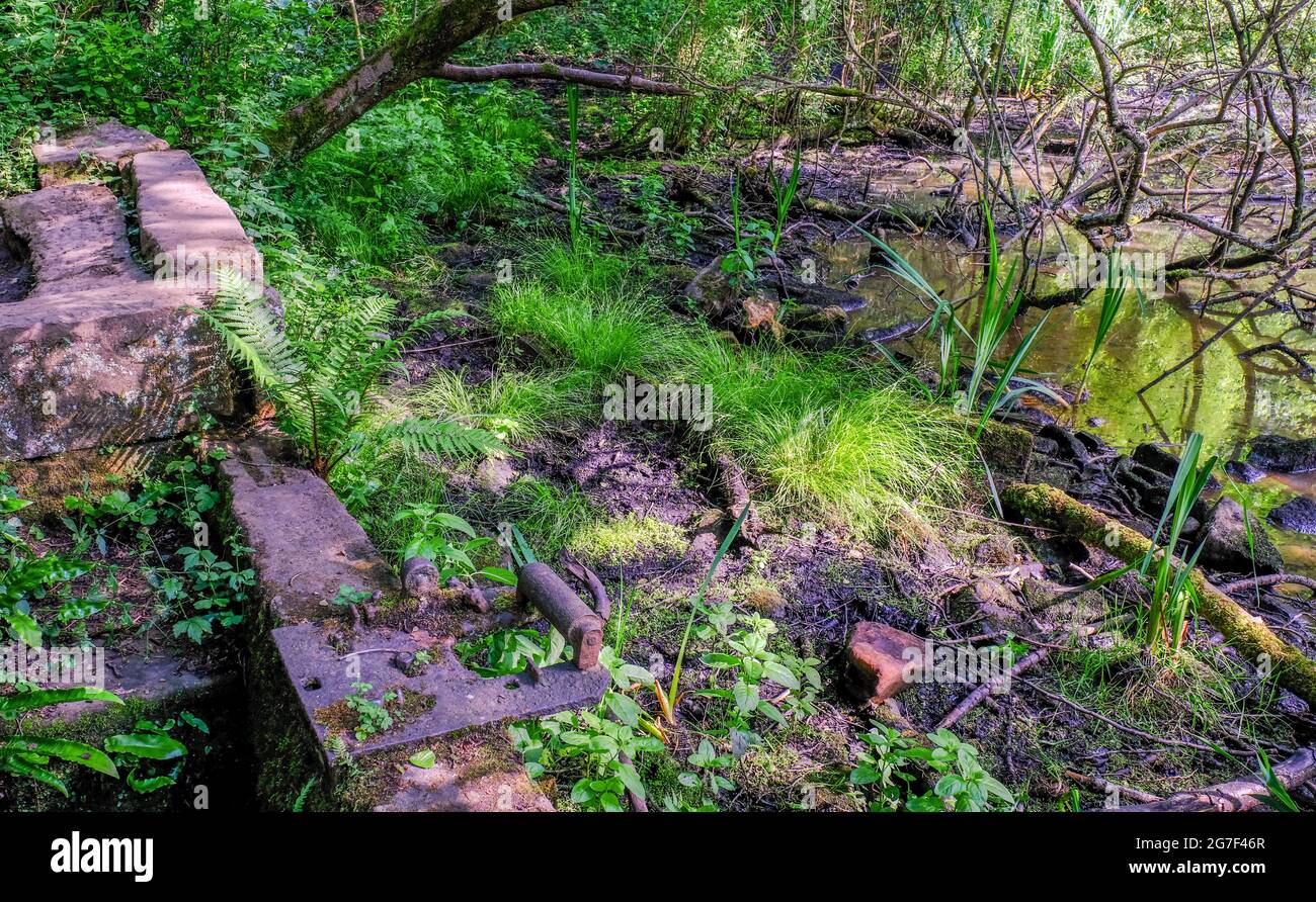 Mysterious old iron-work emerges from the undergrowth in the Rivelin ...