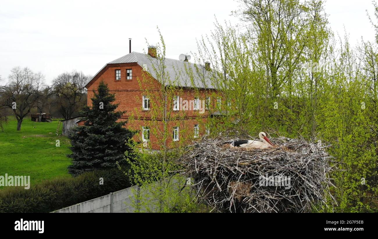 A stork sits in a nest against the backdrop of a house. View from the ...