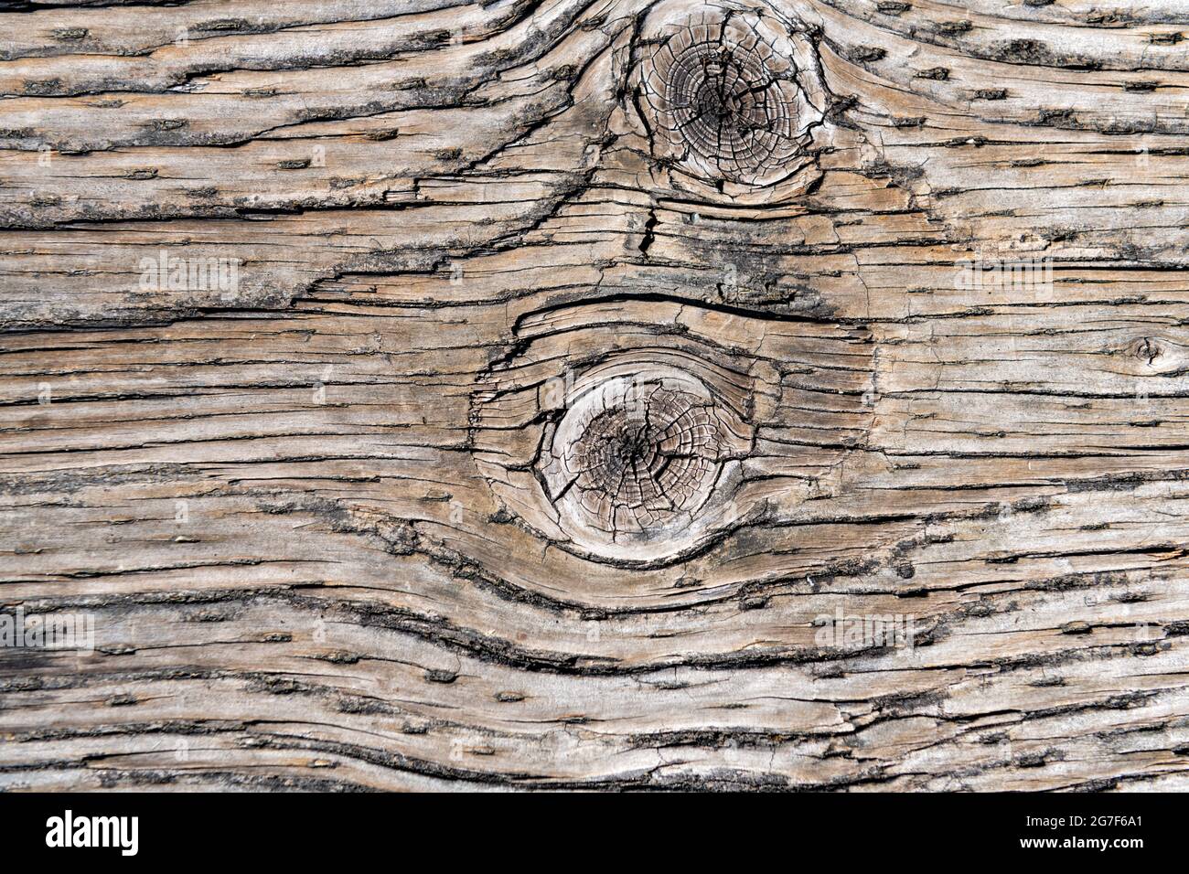 timber texture background with nobody, timbered background Stock Photo ...