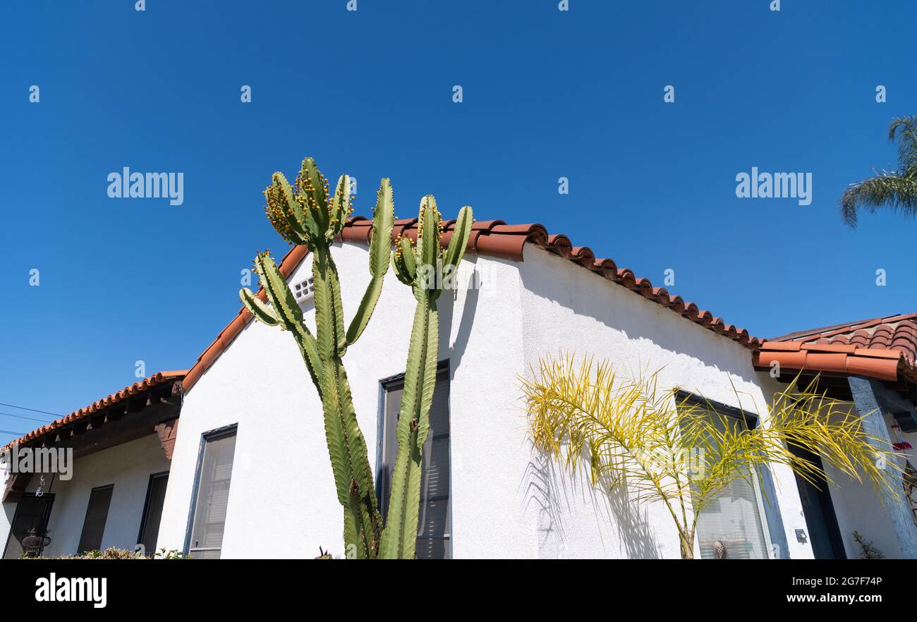 residential building house with cactus plants on blue sky background ...
