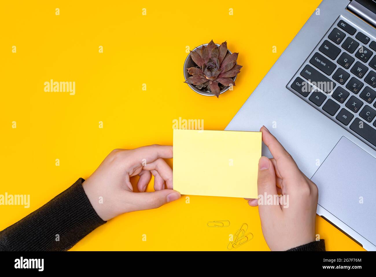 Woman Hand Holding Blank Notes Writing New Messege Updates Ideas Next ...