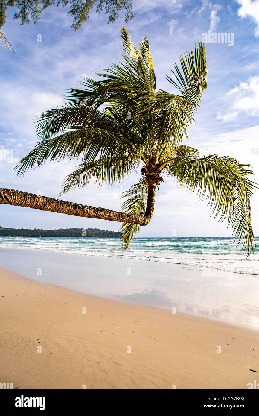 Klong Chao beach and its Double Palm Trees in koh Kood, Trat, Thailand ...