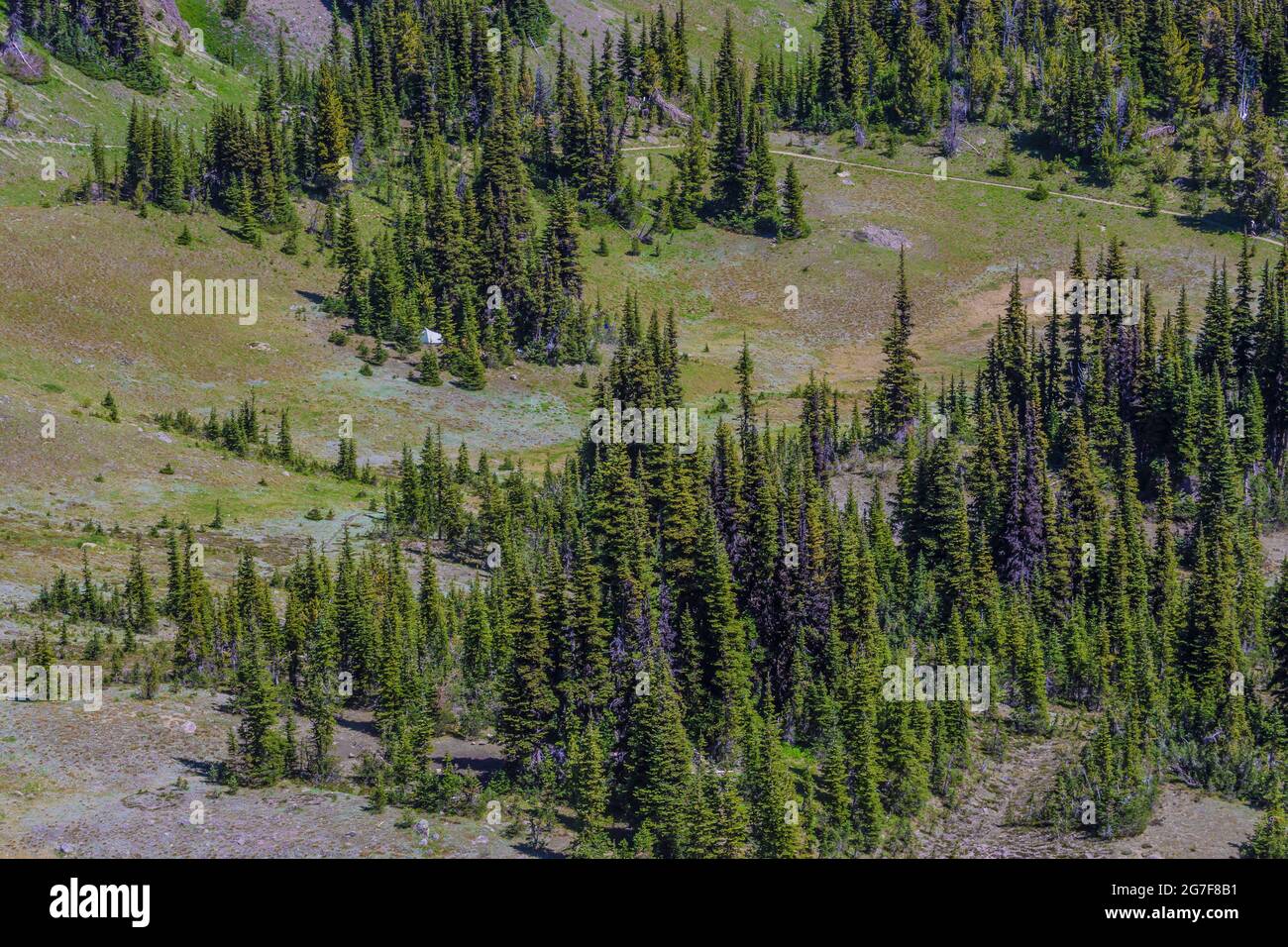 View down to a subalpine meadow from Marmot Pass in the Buckhorn ...