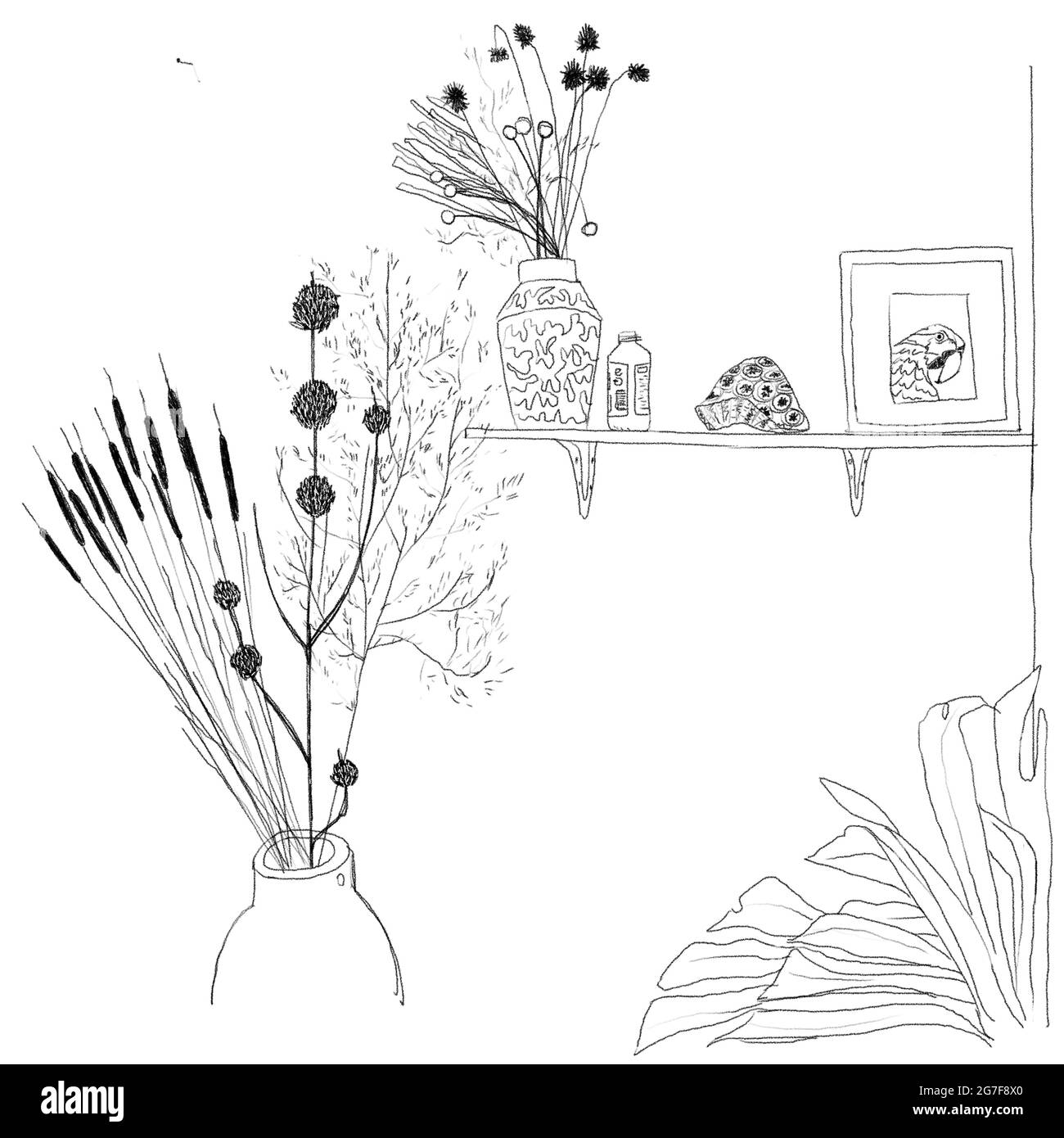 Hand drawn dried flower bouquets Stock Photo - Alamy