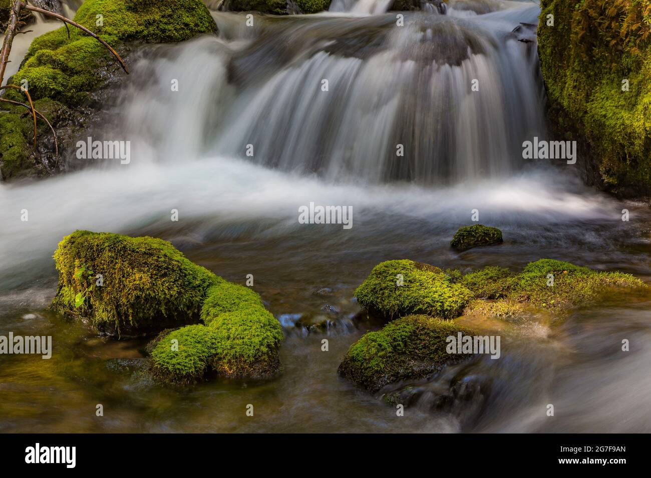 Big Quilcene River along the trail to Marmot Pass in the Buckhorn ...