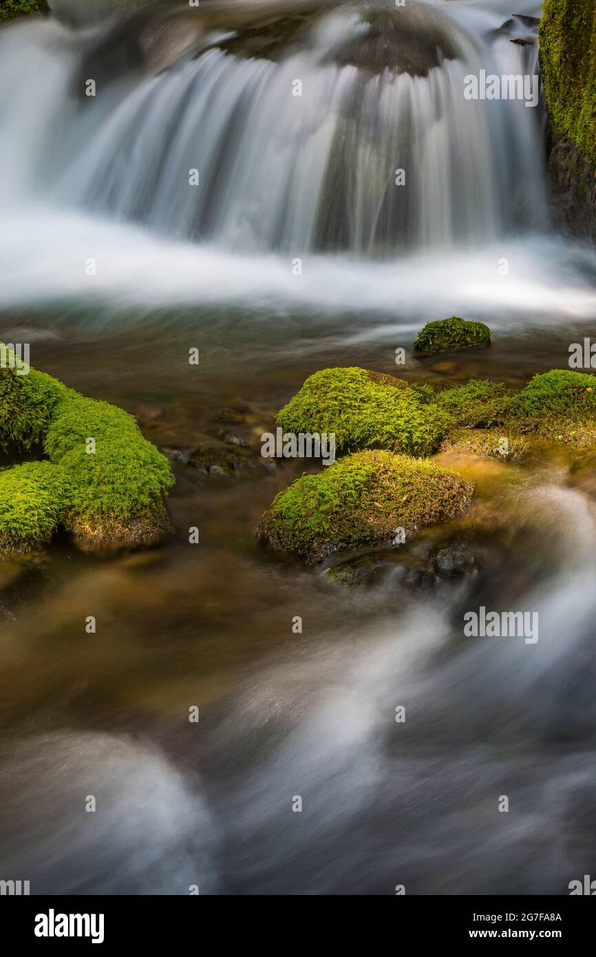 Big Quilcene River along the trail to Marmot Pass in the Buckhorn ...