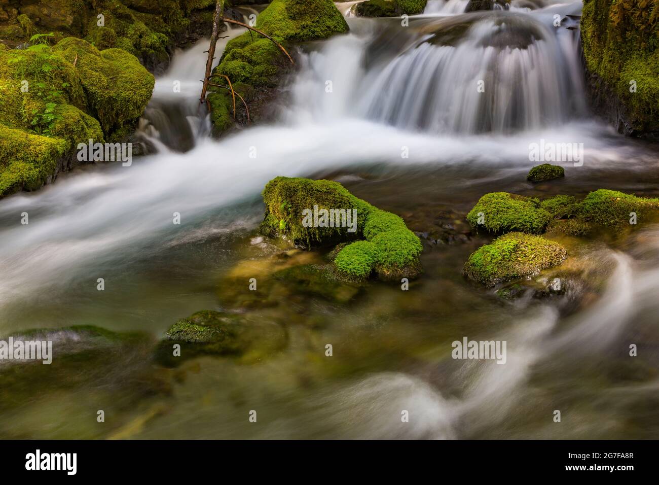 Big Quilcene River along the trail to Marmot Pass in the Buckhorn ...