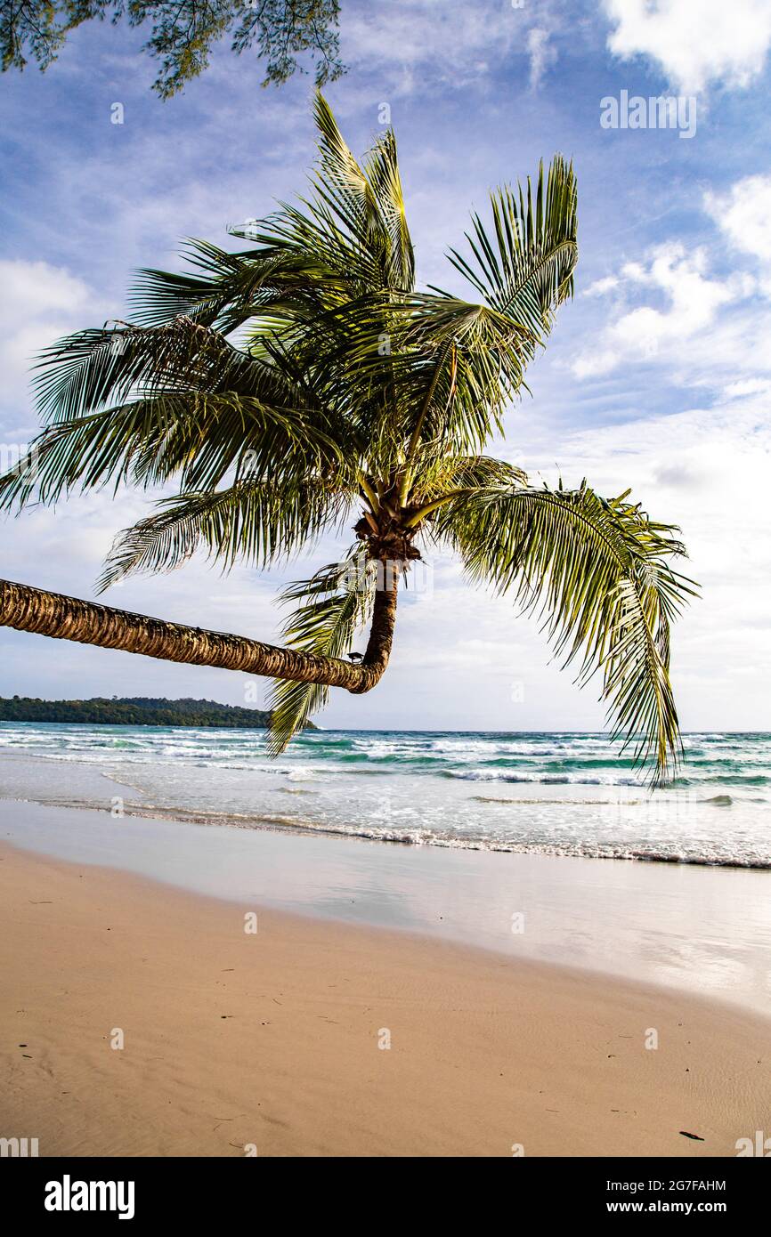 Klong Chao beach and its Double Palm Trees in koh Kood, Trat, Thailand ...
