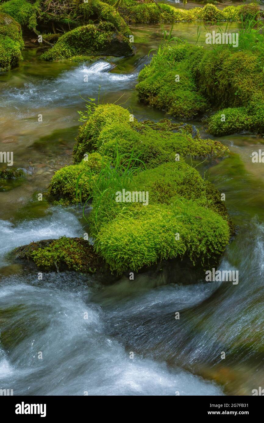 Big Quilcene River along the trail to Marmot Pass in the Buckhorn ...
