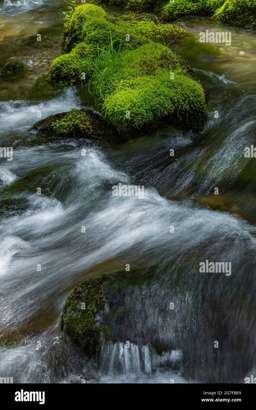Big Quilcene River along the trail to Marmot Pass in the Buckhorn ...