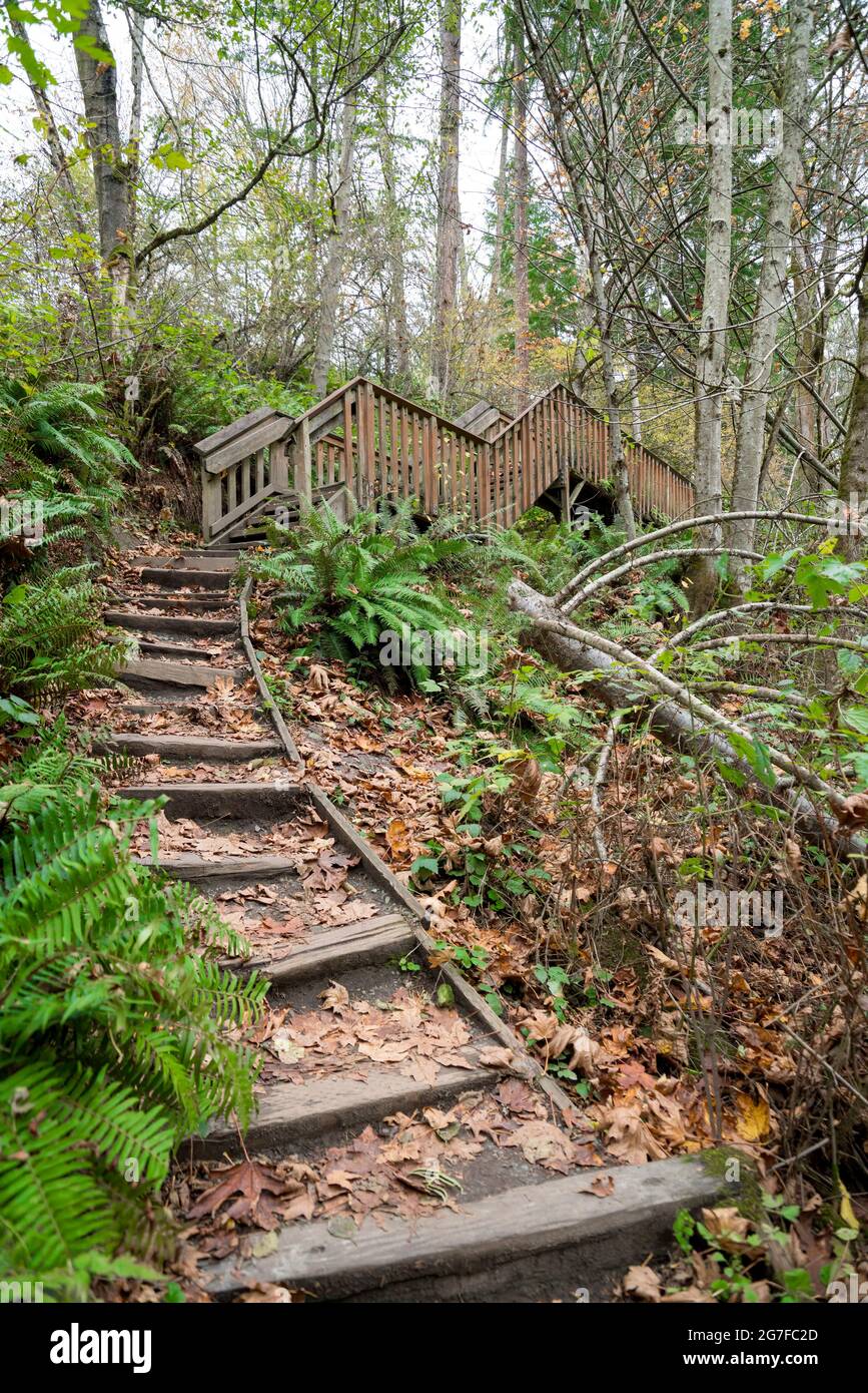 Uphill trail with wooden steps leading to a path with wooden handrails ...