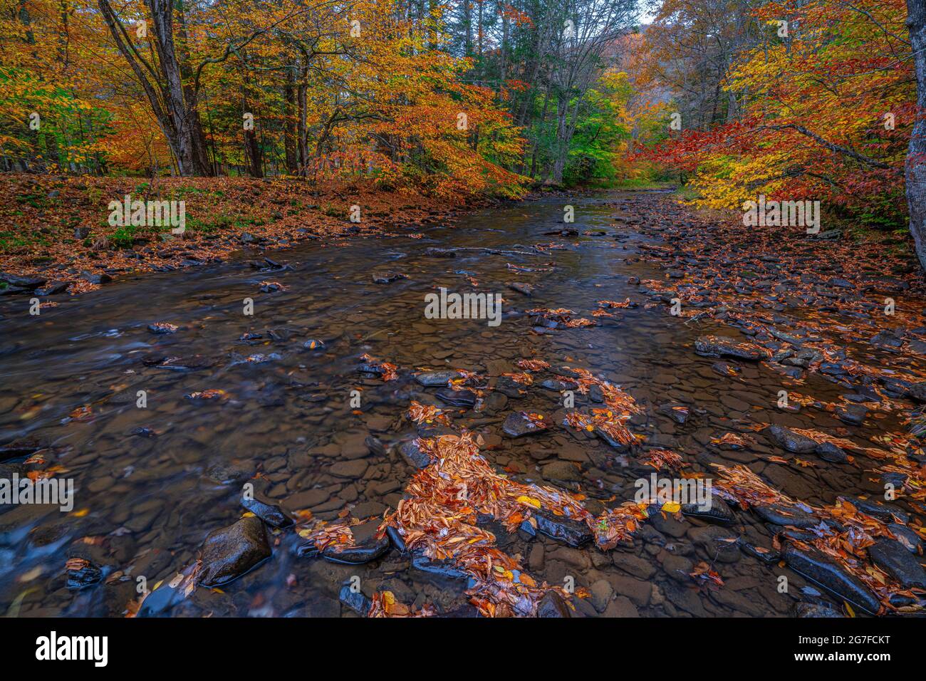 West virginia fall foliage hi-res stock photography and images - Alamy