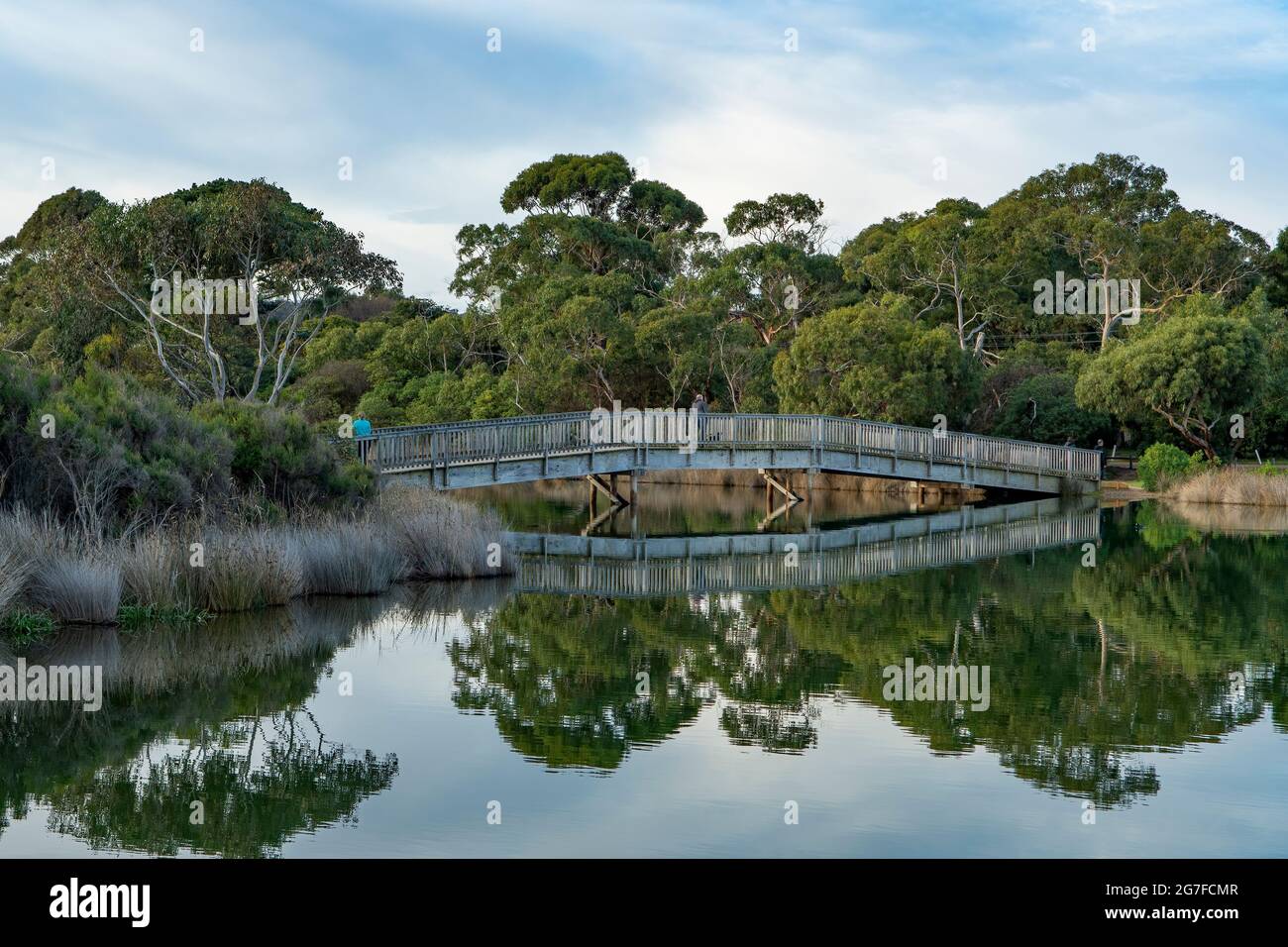 Russell Bridge in Coogoorah Park Nature Reserve, Anglesea Stock Photo ...