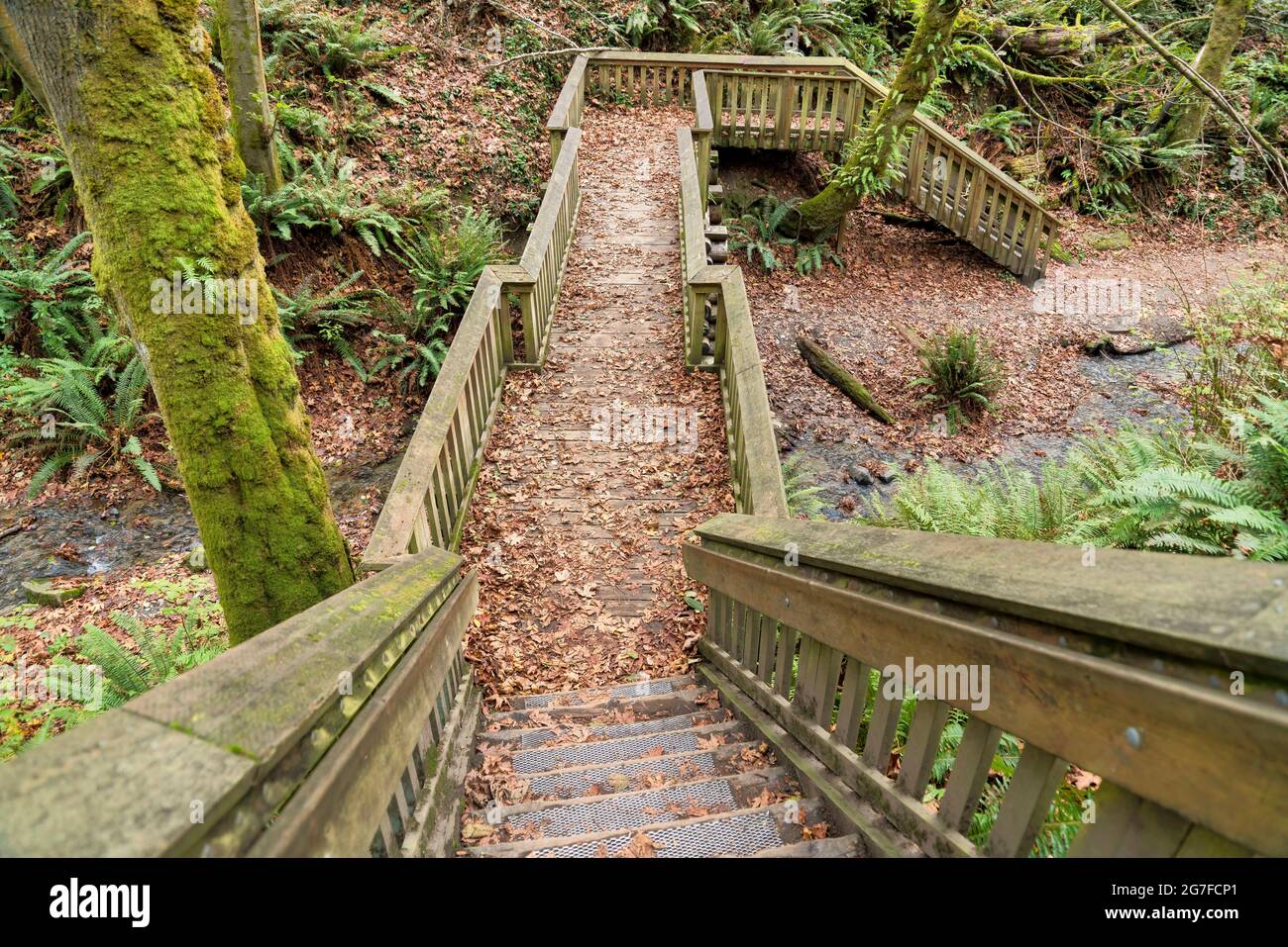 Stairs of wooden footbridge hi-res stock photography and images - Alamy