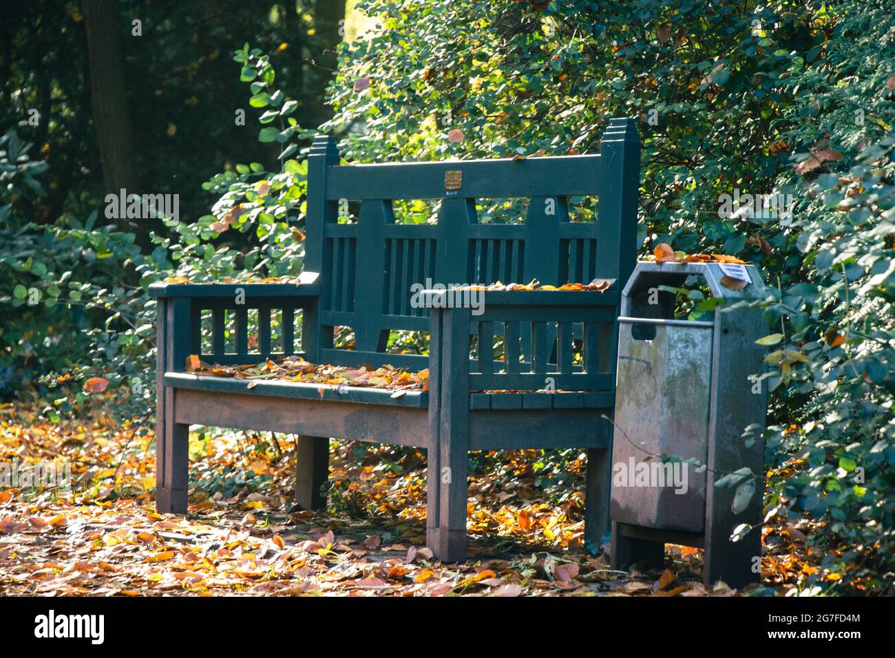 Wooden bench in the forest Stock Photo - Alamy
