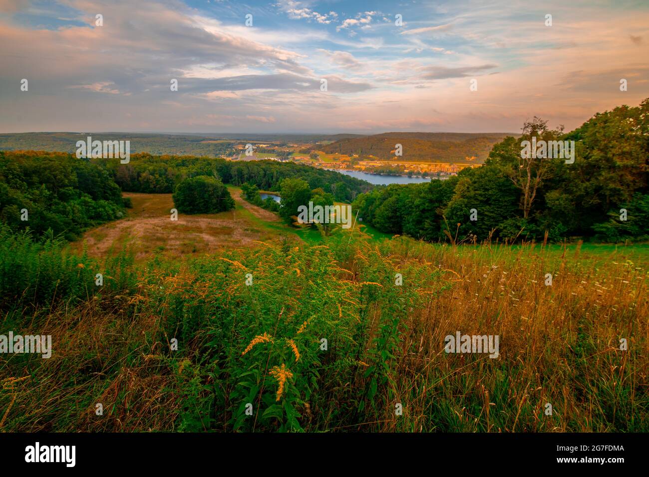 Deep meadow hi-res stock photography and images - Alamy